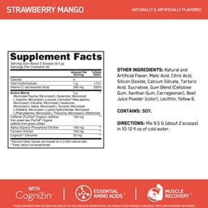 Optimum Nutrition Essential Amino Energy Advanced Plus Metabolism and Focus Support, Strawberry Mango, 20 Servings, 6.7 Ounce (Pack of 1)