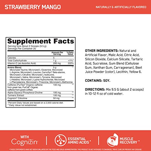 Optimum Nutrition Essential Amino Energy Advanced Plus Metabolism and Focus Support, Strawberry Mango, 20 Servings, 6.7 Ounce (Pack of 1)