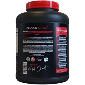 Insane Labz Insane Whey,100% Muscle Building Whey Protein, Post Workout, BCAA Amino Profile, Mass Gainer, Meal Replacement, 5lbs, 60 Srvgs, (Chocolate)