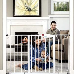 Regalo Easy Step 49-Inch Extra Wide Baby Gate, Includes 4-Inch and 12-Inch Extension Kit, Pressure Mount Kit and 4 Pack of Wall Mount Kit, 4 Count (Pack of 1)