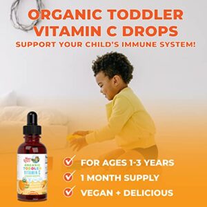 Toddler Multivitamin Gummies & USDA Organic Vitamin C Liquid Drops for Toddler Bundle by MaryRuth's | Vitamin C, D3, Zinc | Immune Support & Overall Health | Vegan | Non-GMO | Gluten Free