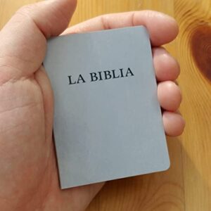 vongsado spanish 24 pads testigos de jehova regalos accesorios | jehovah witness bible sticky notes accessories gifts for jw jehovah’s witnesses jw.org biblia pioneer convention women men (es24)