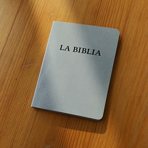 Vongsado Spanish 24 Pads Testigos de Jehova Regalos Accesorios | Jehovah Witness Bible Sticky Notes Accessories Gifts for JW Jehovah's Witnesses JW.org Biblia Pioneer Convention Women Men (ES24)