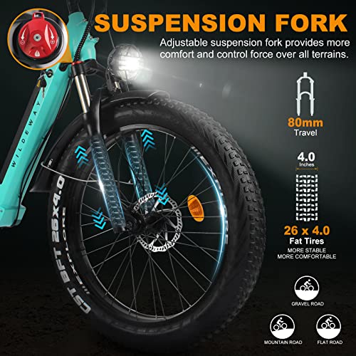 Wildeway Electric Bike Cruiser City Step-Thru Bicycle 750W Motor 26" x 4.0" Fat Tire Ebikes for Adults with 48V 15Ah Removable Battery Hydraulic Disc Brake 30MPH Shimano 7 Speed Gear