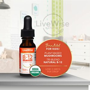 Vitamin B12 for Kids | USDA Organic Vitamin B12 Liquid Drops | B12 Vitamin Supplement for Toddlers and Children | Vegan | Non-GMO | Gluten Free | Low Dose