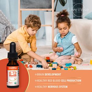 Vitamin B12 for Kids | USDA Organic Vitamin B12 Liquid Drops | B12 Vitamin Supplement for Toddlers and Children | Vegan | Non-GMO | Gluten Free | Low Dose