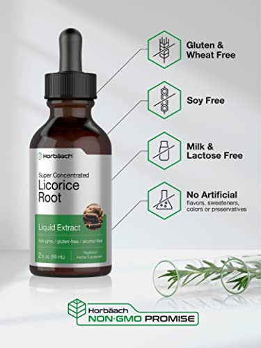 Licorice Root Extract | 2 oz | Alcohol Free | Vegetarian, Non-GMO, Gluten Free Liquid Tincture | by Horbaach