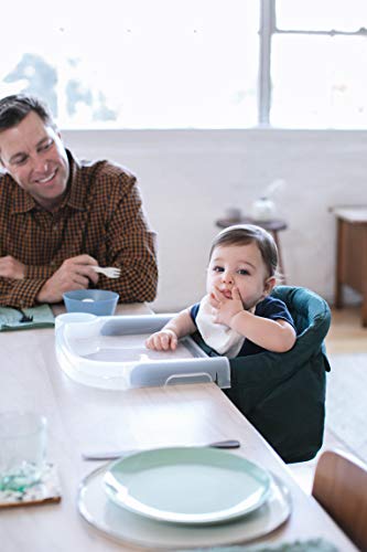 Inglesina Fast Table Chair - Award-Winning Baby High Chair for Eating & Dining - Compact, Portable & Foldable - Leaves No Scratches - For Babies 6-36 Months & 1-3 Year Old Toddler - (Black)