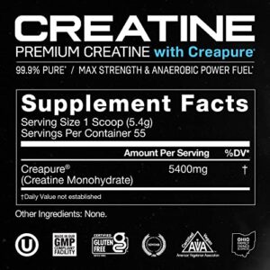 Muscle Feast Creapure Creatine Monohydrate Powder, Vegan Keto Friendly Gluten-Free Easy to Mix, Mass Gainer, Muscle Recovery Supplement and Best Creatine for Muscle Growth, Unflavored, 300g