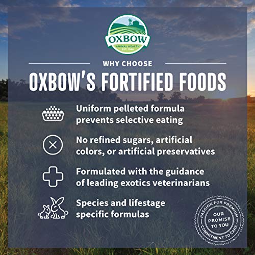 Oxbow Essentials Adult Rat Food - All Natural Adult Rat Food - 20 lb.