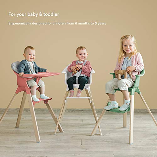 Stokke Clikk High Chair, Sunny Coral - All-in-One High Chair with Tray + Harness - Light, Durable & Travel Friendly - Ergonomic with Adjustable Features - Best for 6-36 Months or Up to 33 lbs