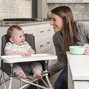 Regalo My High Chair Portable Travel Fold & Go Highchair, Indoor and Outdoor, Bonus Kit, Includes Tray with Cup Holder, Grey