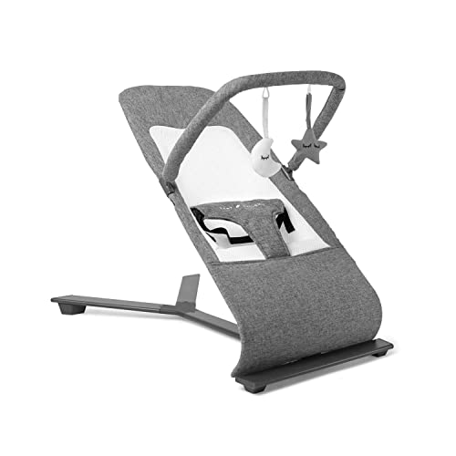 Baby Delight Alpine Deluxe Portable Bouncer | Infant | 0 – 6 months | Charcoal Tweed