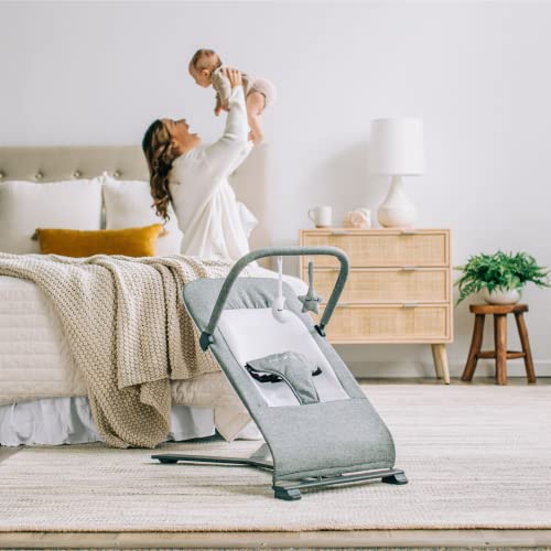 Baby Delight Alpine Deluxe Portable Bouncer | Infant | 0 – 6 months | Charcoal Tweed