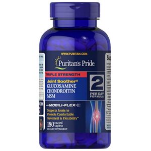 puritan’s pride glucosamine, chondroitin & msm-2 per day formula