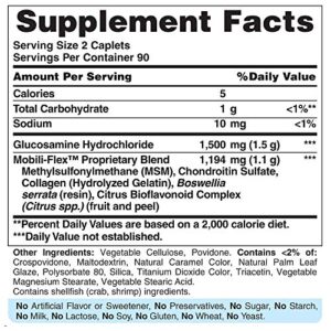 Puritan's Pride Glucosamine, Chondroitin & MSM-2 Per Day Formula