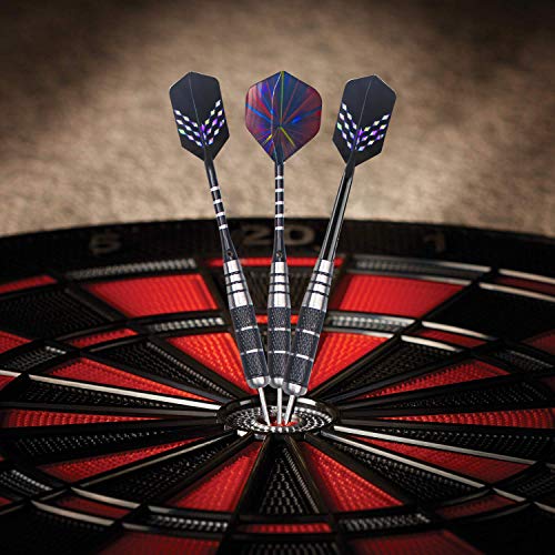 WINSDART Steel Tip Darts Set 12 Pack 22 Grams with Nonslip Iron Barrel Aluminum Dart Shafts 2 Style Flights and Darts Sharpener, Gift Box