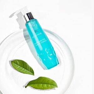 PÜR See No More Deep Pore Facial Cleanser, Sulfate-Free, Blemish-Prone Skin, Refreshes & Cools Skin, Helps Smooth & Diminish Appearance of Blemishes, Lactic & Salicylic Acid