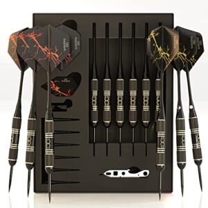 cc-exquisite professional steel tip darts set – 6 x 22g brass barrels with 12 flights standard/slim, 12 aluminum shafts 35/48mm, 12 o-rings, dart tool, dart sharpener and case (black & gold)