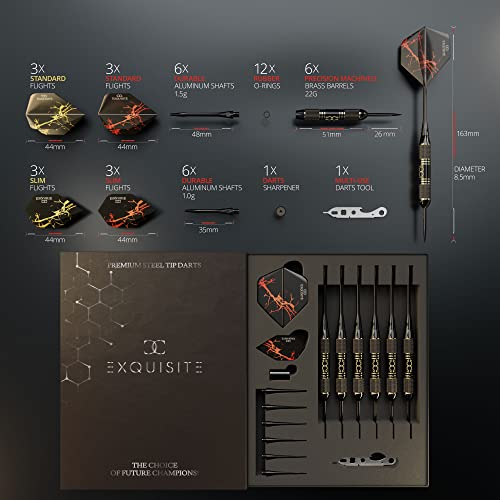 CC-Exquisite Professional Steel Tip Darts Set - 6 x 22g Brass Barrels with 12 Flights Standard/Slim, 12 Aluminum Shafts 35/48mm, 12 O-Rings, Dart Tool, Dart Sharpener and Case (Black & Gold)