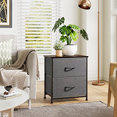 WLIVE Nightstand, 2 Drawer Dresser for Bedroom, Small Dresser with 2 Drawers, Bedside Furniture, Night Stand, End Table with Fabric Bins for Bedroom, Living Room, College Dorm, Dark Grey