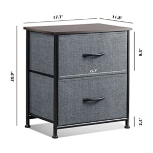 WLIVE Nightstand, 2 Drawer Dresser for Bedroom, Small Dresser with 2 Drawers, Bedside Furniture, Night Stand, End Table with Fabric Bins for Bedroom, Living Room, College Dorm, Dark Grey