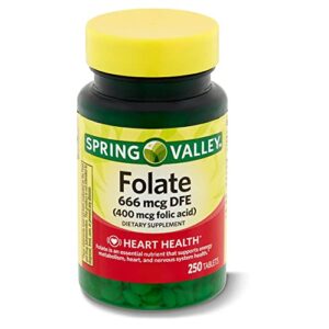 Spring Valley Folate 666 mcg DFE (400 mg Folic Acid) Essential B Vitamin for Heart Health, Energy Metabolism, and Prenatal Support - 250 Count Plus a Luall Fridge Magnetic