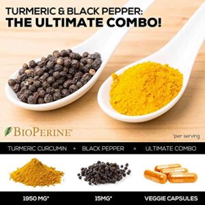 Turmeric Curcumin with BioPerine & Pepper 95% Standardized Curcuminoids 1950mg - Black Pepper for Max Absorption, Natural Joint Support, Nature's Tumeric Extract Antioxidant Supplement - 240 Capsules