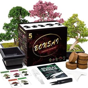 Meekear 5 Bonsai Tree Kit with Complete Plant Growing Tools, Grow in Pot Indoor Bonsai Tree Starter Kit, Home Gardening DIY Gift for Adult