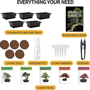 Meekear 5 Bonsai Tree Kit with Complete Plant Growing Tools, Grow in Pot Indoor Bonsai Tree Starter Kit, Home Gardening DIY Gift for Adult