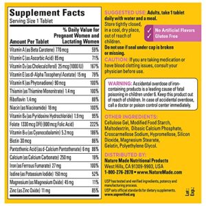 Nature Made Prenatal Multivitamin with Folic Acid, Prenatal Vitamin and Mineral Supplement for Daily Nutritional Support, 250 Tablets, 250 Day Supply