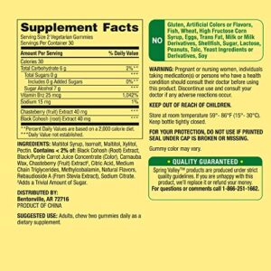 Experience Natural Relief with Spring Valley Menopause Support Gummies - 60 Count (Pack of 2). Includes Luall Fridge Magnetic