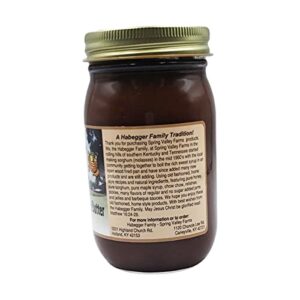 SPRING VALLEY FARMS Apple Butter Caramel Pecan, 19 OZ