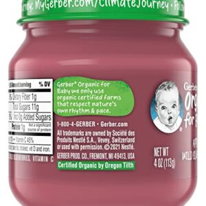 Gerber Organic for Baby 2nd Foods (Apple Wild Blueberry)