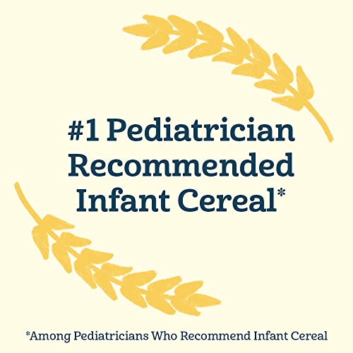 Gerber Baby Cereal Organic 1st Foods, Grain & Grow, Oatmeal, 8 Ounces (Pack of 6)