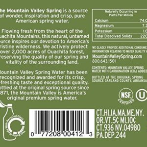 Mountain Valley Sparkling Water, 333 mL Glass Bottles (Pack of 24)