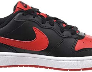 Nike Court Borough Low 2 (Big Kid)