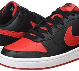 Nike Court Borough Low 2 (Big Kid)