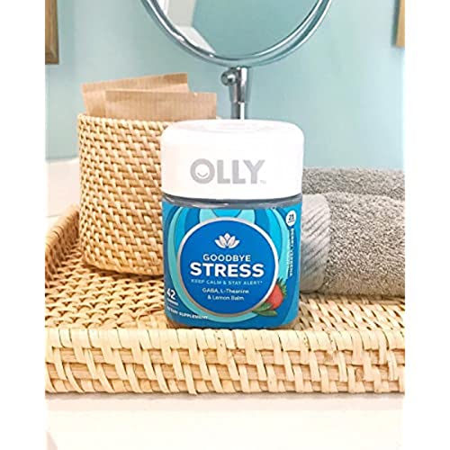 OLLY Goodbye Stress Gummy, GABA, L-Theanine, Lemon Balm, Stress Relief Supplement, Berry - 42 Count