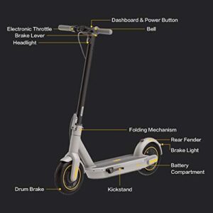 Segway Ninebot MAX G30LP Electric Kick Scooter, Up to 25 Miles Long-range Battery, Max Speed 18.6 MPH, Lightweight and Foldable, Gray