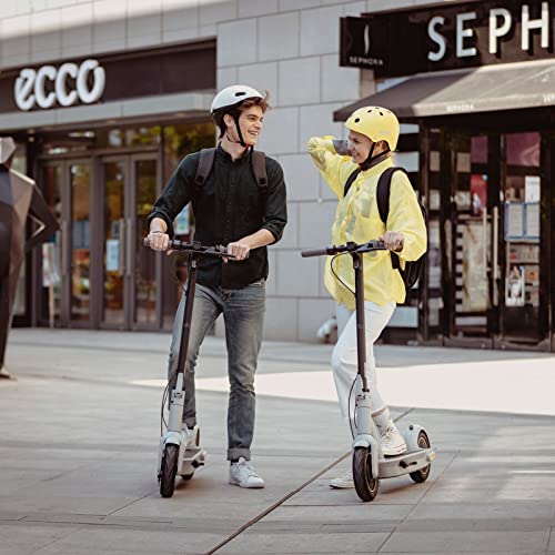 Segway Ninebot MAX G30LP Electric Kick Scooter, Up to 25 Miles Long-range Battery, Max Speed 18.6 MPH, Lightweight and Foldable, Gray