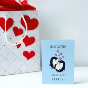 ALY LOU Funny Anniversary Card Birthday Card for Her Him / Husband Boyfriend / Girlfriend Wife / Sarcastic Greeting Card (Life Is Sweeter With You As My Heater)