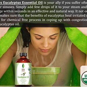 SVA Organics Eucalyptus Essential Oil Organic 4 Oz USDA with Dropper 100% Pure Natural Undiluted Premium Therapeutic Grade Oil for Diffuser, Aromatherapy, Face, Body & Hair Care