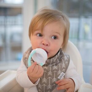 Dr. Brown's Designed to Nourish, Fresh Firsts Silicone Feeder, Mint, One Size (Pack of 2)