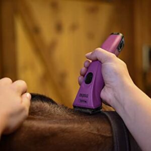 WAHL Professional Animal Creativa Cordless Dog, Cat, Pet, and Horse Clipper with 5-in-1 Adjustable Blade, Berry (#41876-0431)