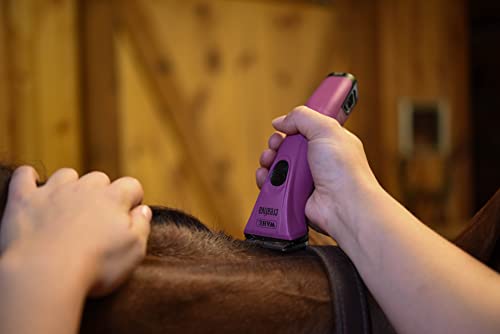 WAHL Professional Animal Creativa Cordless Dog, Cat, Pet, and Horse Clipper with 5-in-1 Adjustable Blade, Berry (#41876-0431)