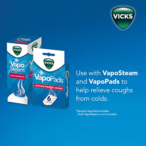 Vicks Warm Mist Humidifier