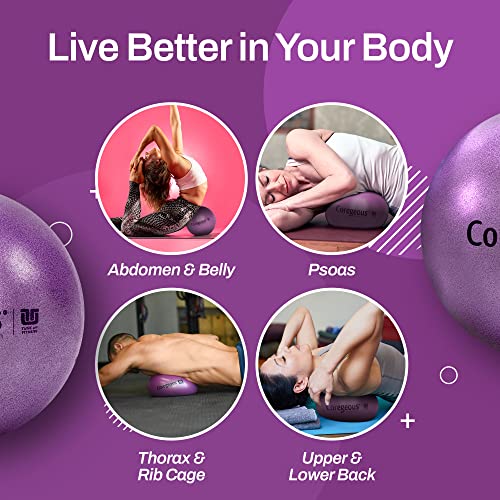 Tune Up Fitness – Coregeous Ball | Psoas Release, Abdominal, Belly & Lower Back Massager | Therapy Stretch Ball for Lower Back Pain, Stress & Digestive Relief, Improved Breathing & Sleep (Iris)