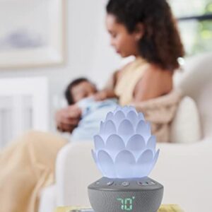 Skip Hop Baby Sound Machine, Cry Activated, Succulent Glow Soother, Grey White