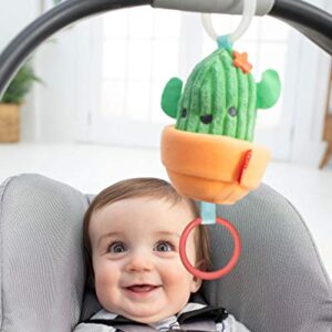 Skip Hop Baby Stroller Toy, Farmstand Grow & Play Jitter, Cactus